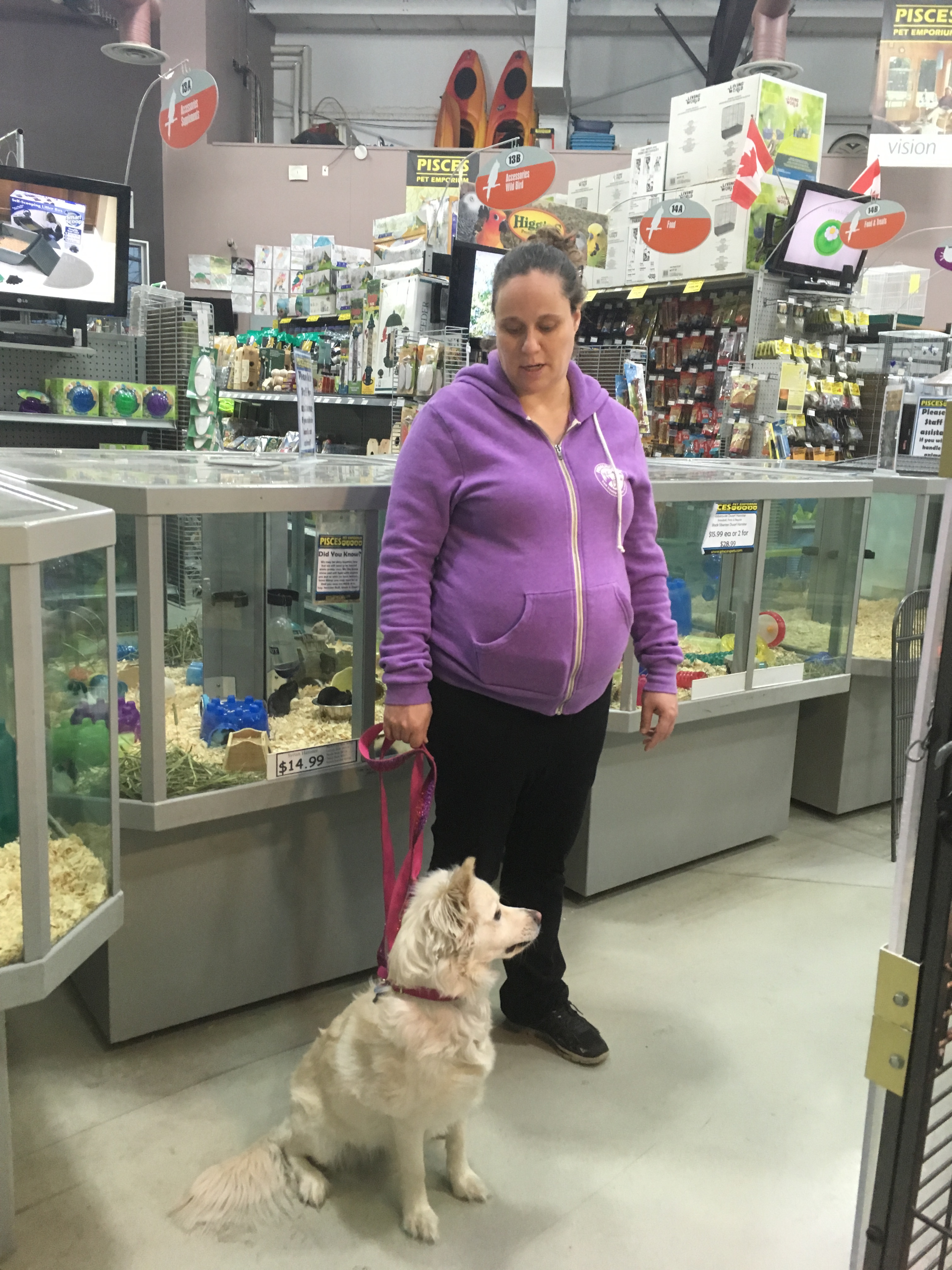 Working the Basics – Happy Dawgs Obedience Training